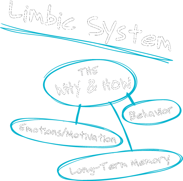 The Code – Text - Gavriel Shaw